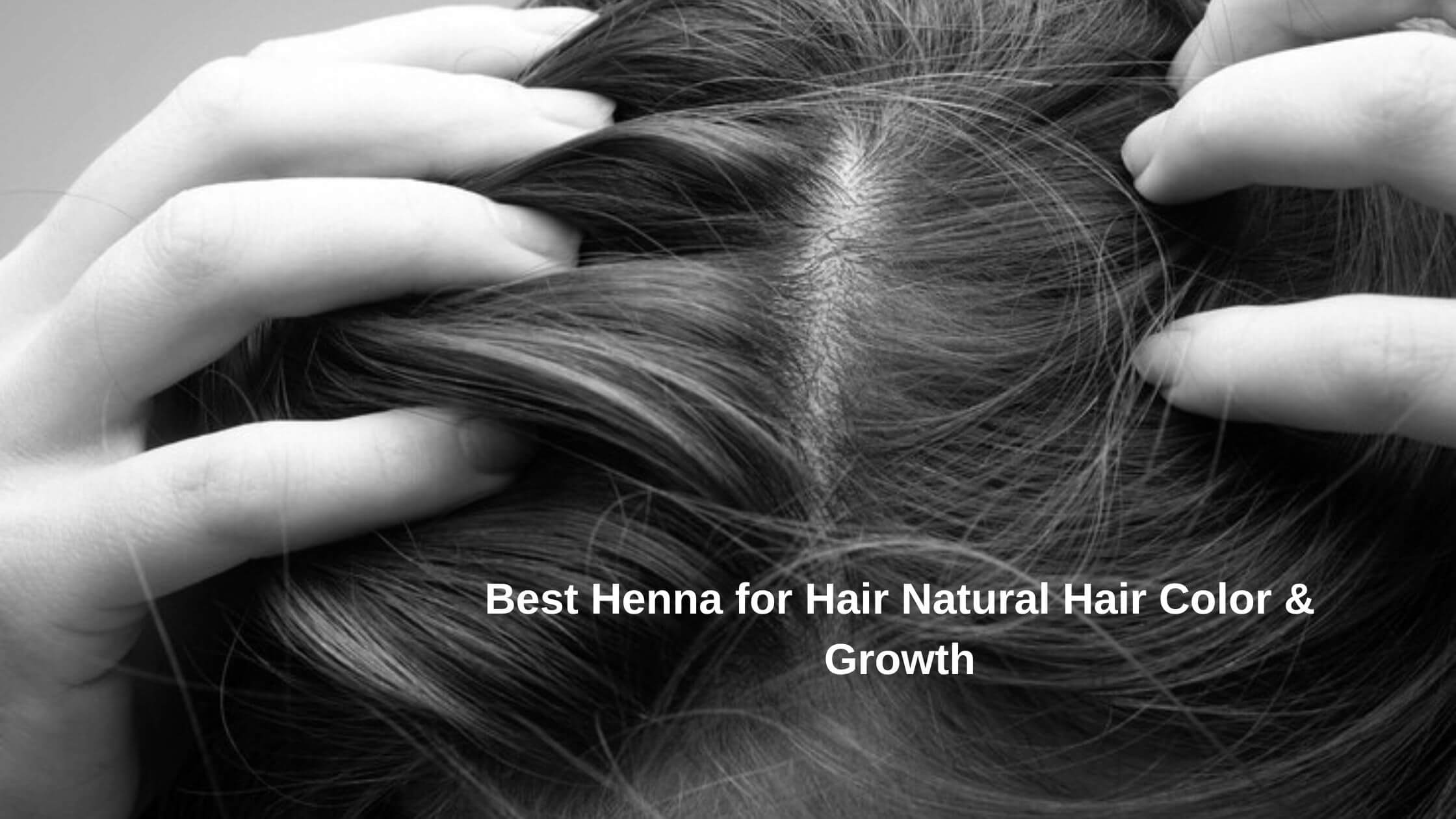 Best Henna for Hair – Natural Hair Color & Growth with Pushp Henna