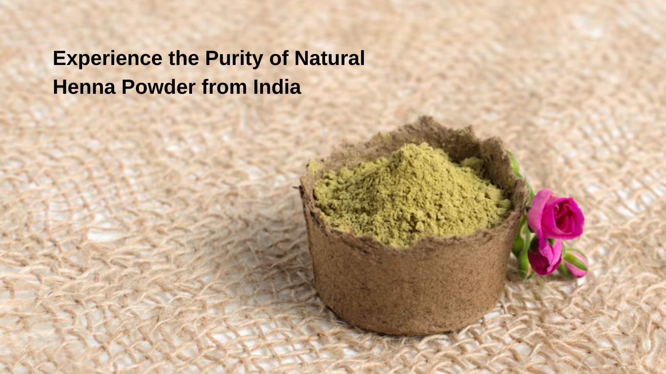 Buy Organic Mehndi Powder of India | Natural & Chemical-Free Henna for ...