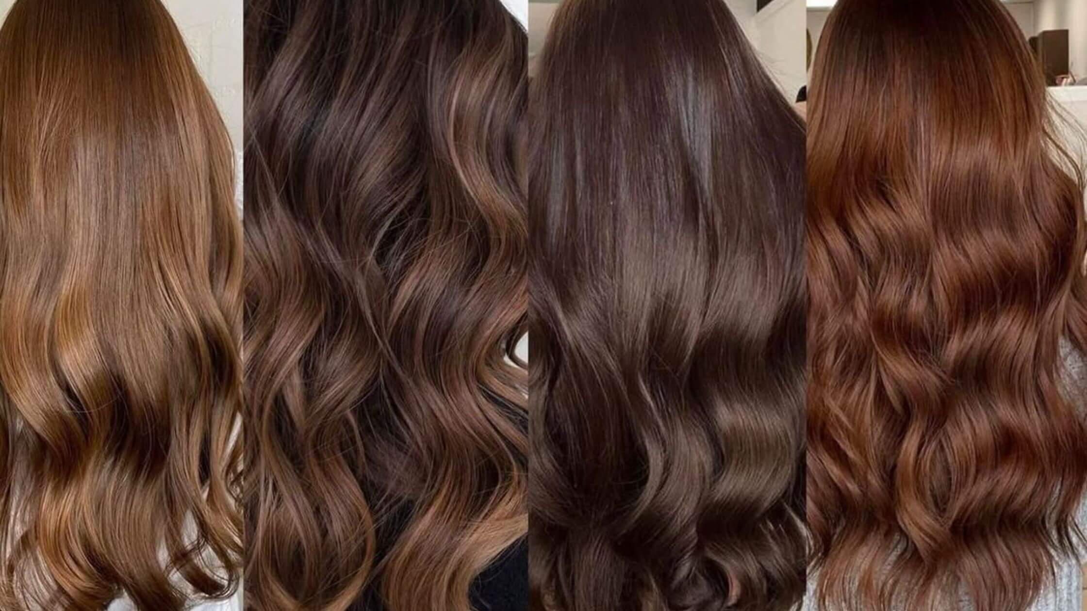 Trendy Global Hair Colour & Natural Shades for Women | Pushp Henna