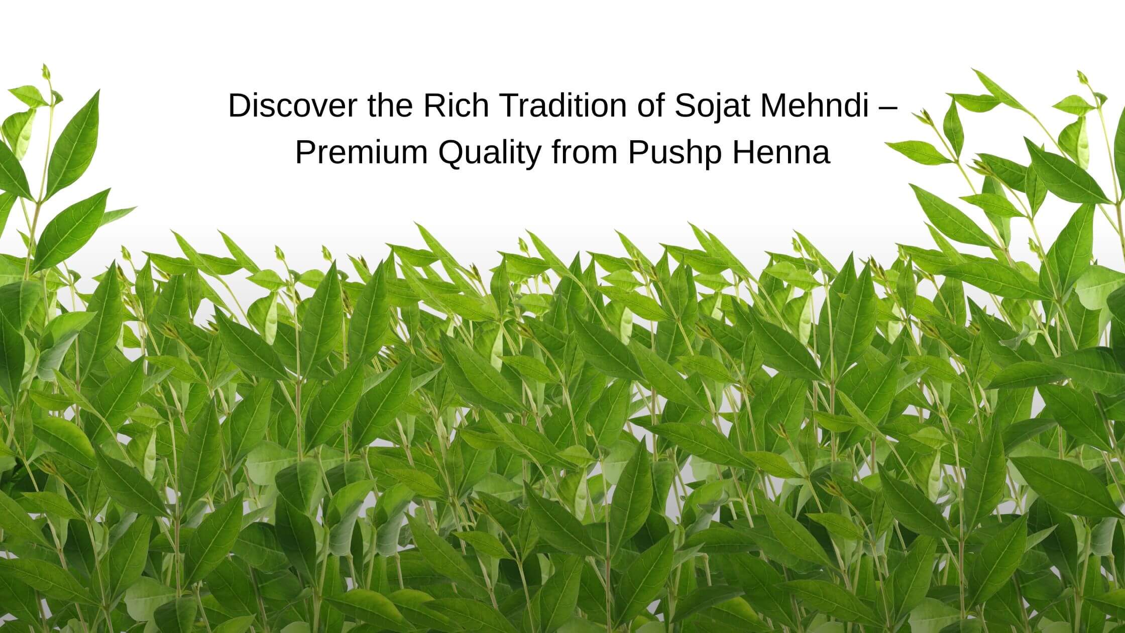 Best Mehndi Cone Guide for Stunning Designs