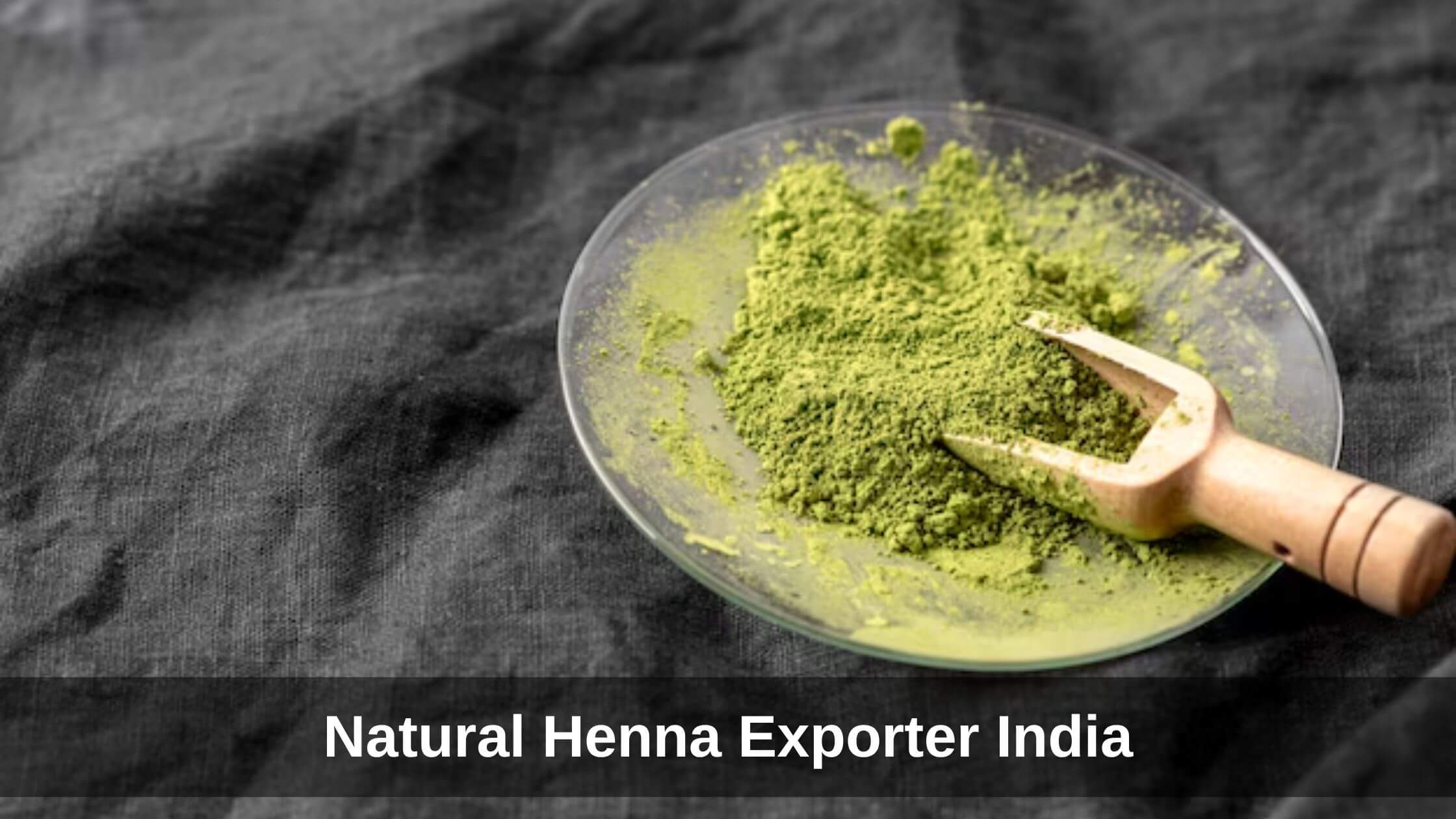 Natural Henna Exporter India | Bulk Henna Powder Supplier